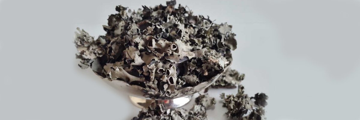 Stone Flowers - Famousa